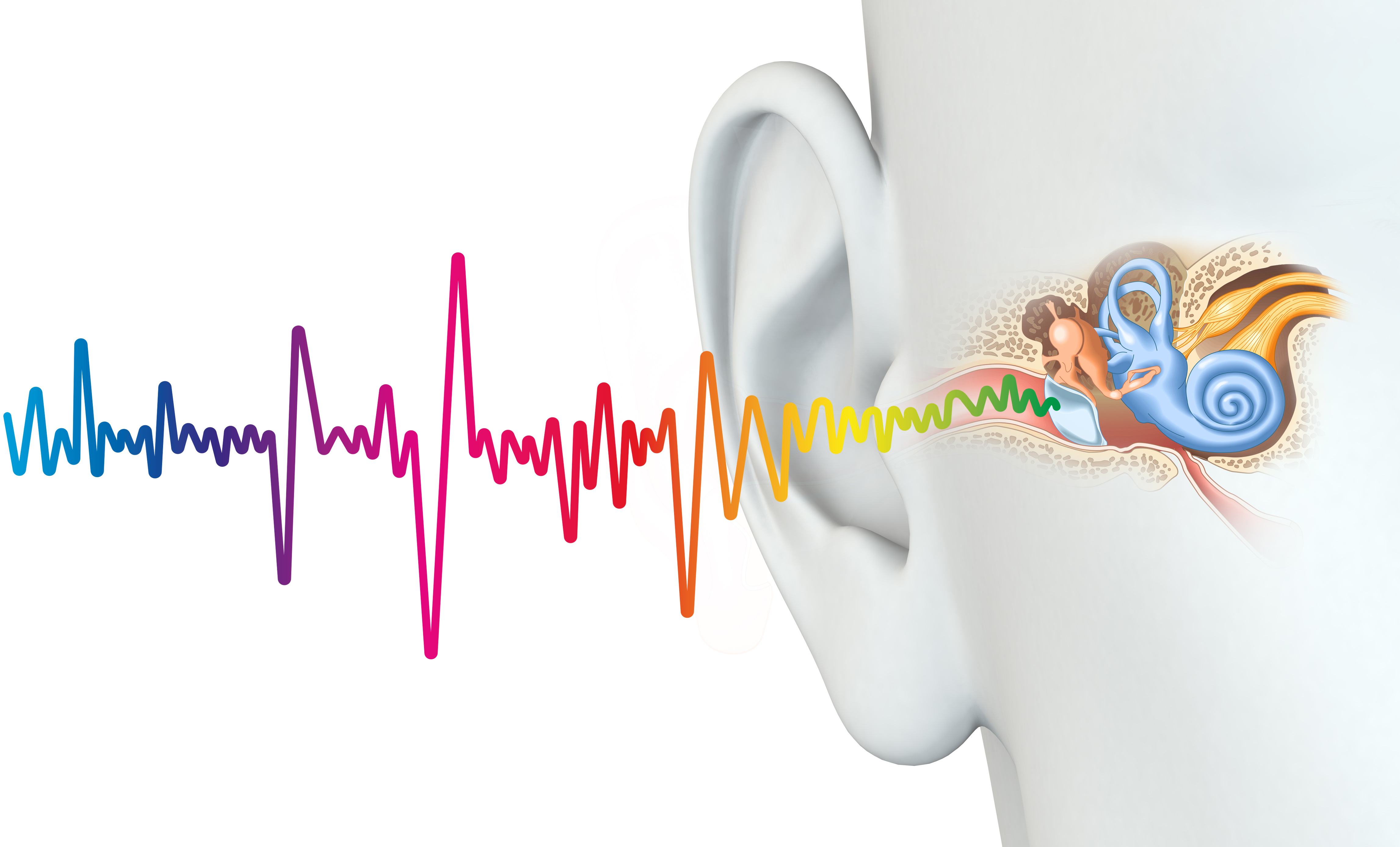 Join Our Team! | Speech, Language, and Hearing Sciences